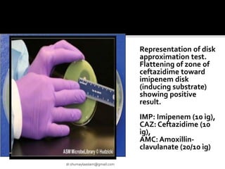 Mechanism Of Resistance Of Antibiotics | PPTX