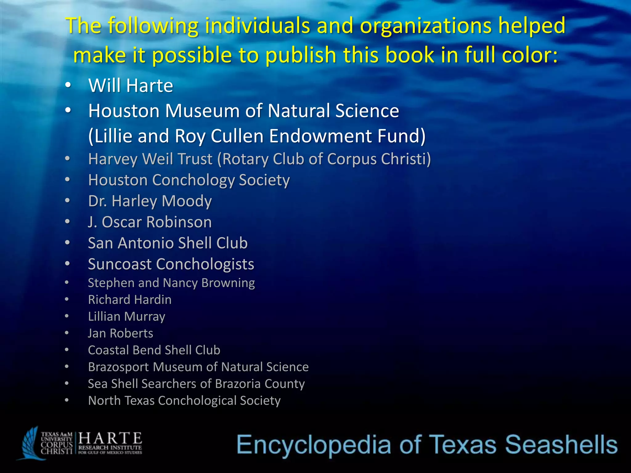 Texas Seashells | PPTX