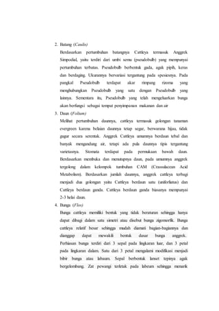 Morf anggrek | DOCX