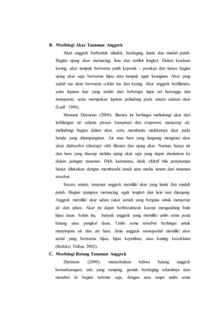 Morf anggrek | DOCX