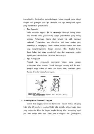 Morf anggrek | DOCX