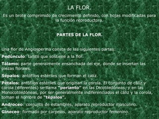 MORFOFISIOLOGÍA RELACIONADA A PAISAJISMO..ppt