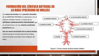 Morfofisiología de sistema nervioso central.pptx