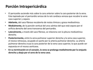 Morfofisiología II venas subclavia y cava superior | PPTX