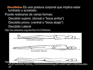 Terminos Anatomicos | PPT