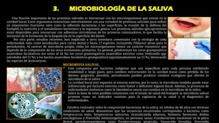 Microbita oral Morfofisiopatologia- MICROBIOLOGIA.pptx