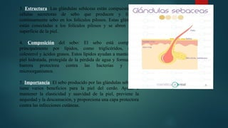 Sistema tegumentario del cerdo y sus diferencias con otras especies.pptx