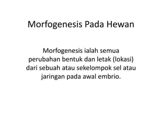 Morfogenesis | PPTX