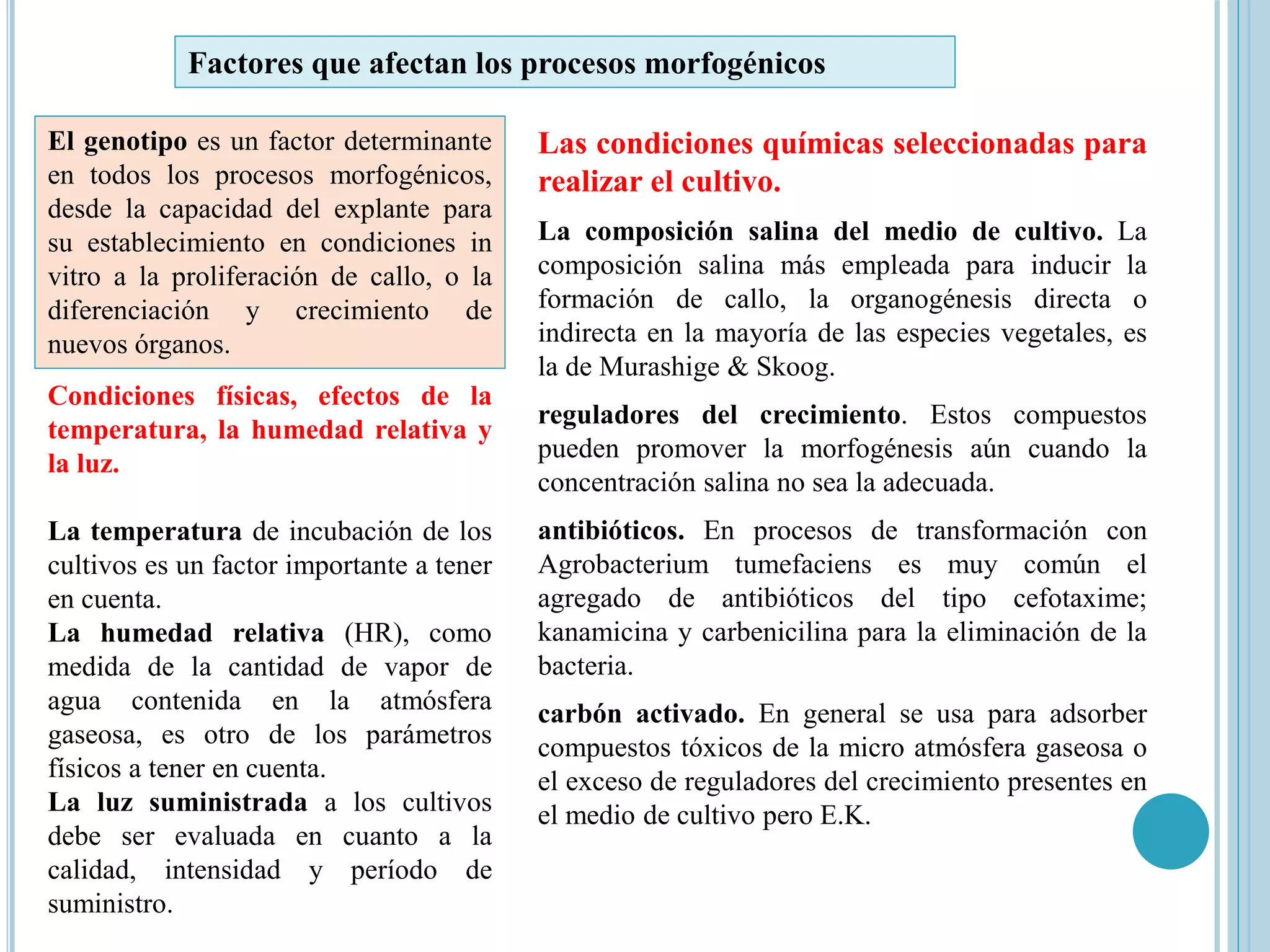 Morfogenesis | PPTX