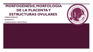 MORFOGÉNESIS, MORFOLOGIA DE LA PLACENTA Y ESTRUCTURAS.pptx
