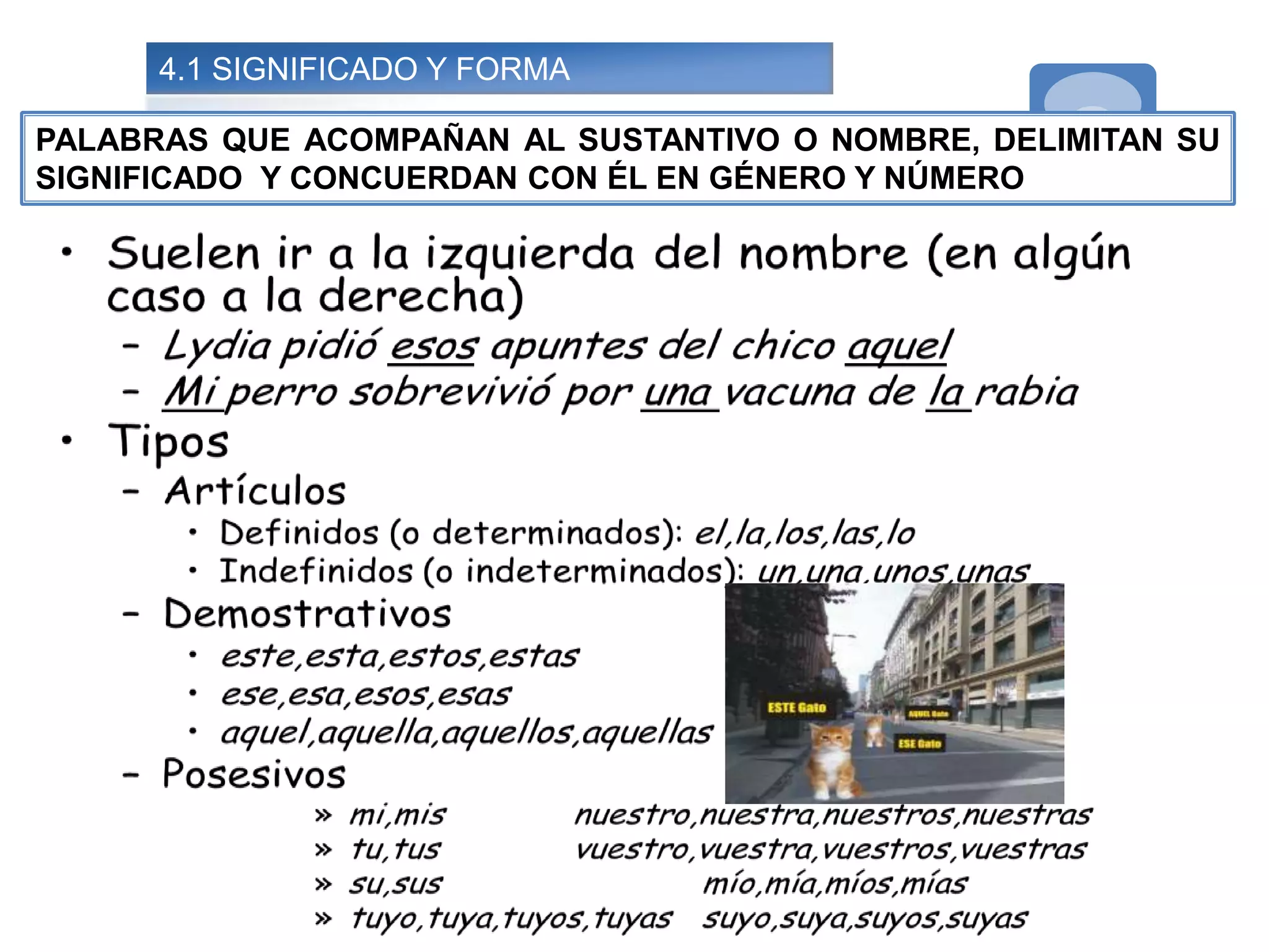 Morfología o tipos de palabras en español | PPT