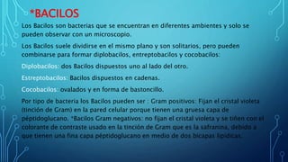 Morfología bacteriana.pptx