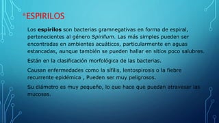 Morfología bacteriana.pptx