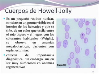 Morfología de Eritrocitos.ppt 2019.ppt