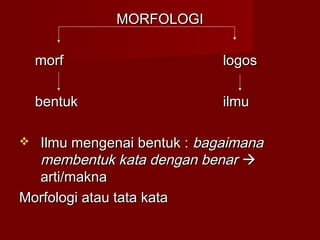 Morfologi 06 | PPT