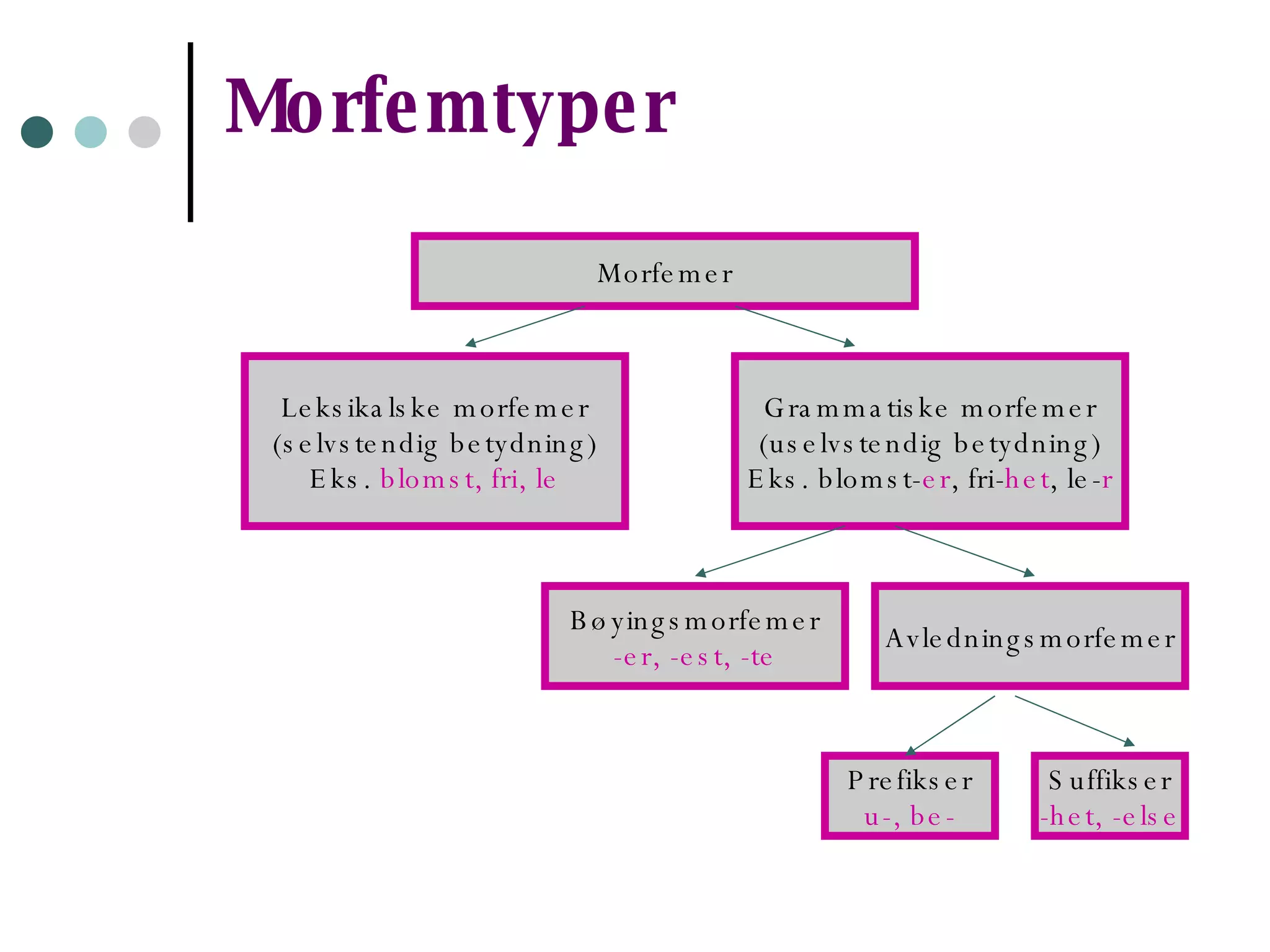 Morfologi | PPT