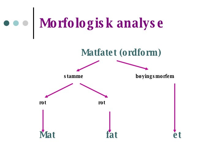 Morfologi