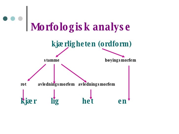 Morfologi