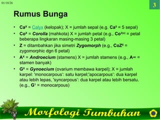 morfologi-bunga-3 perkuliahan botani farmasi | PPT