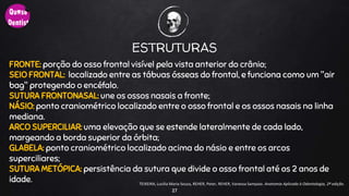 MORFOLOGIA CABEÇA E PESCOÇO-OSTEOLOGIA | PPTX