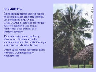 Morfologia Vegetal | PPT