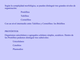 Morfologia Vegetal | PPT