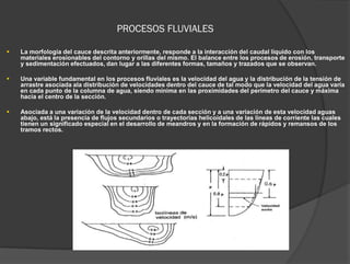 MORFOLOGIA (1).pdf