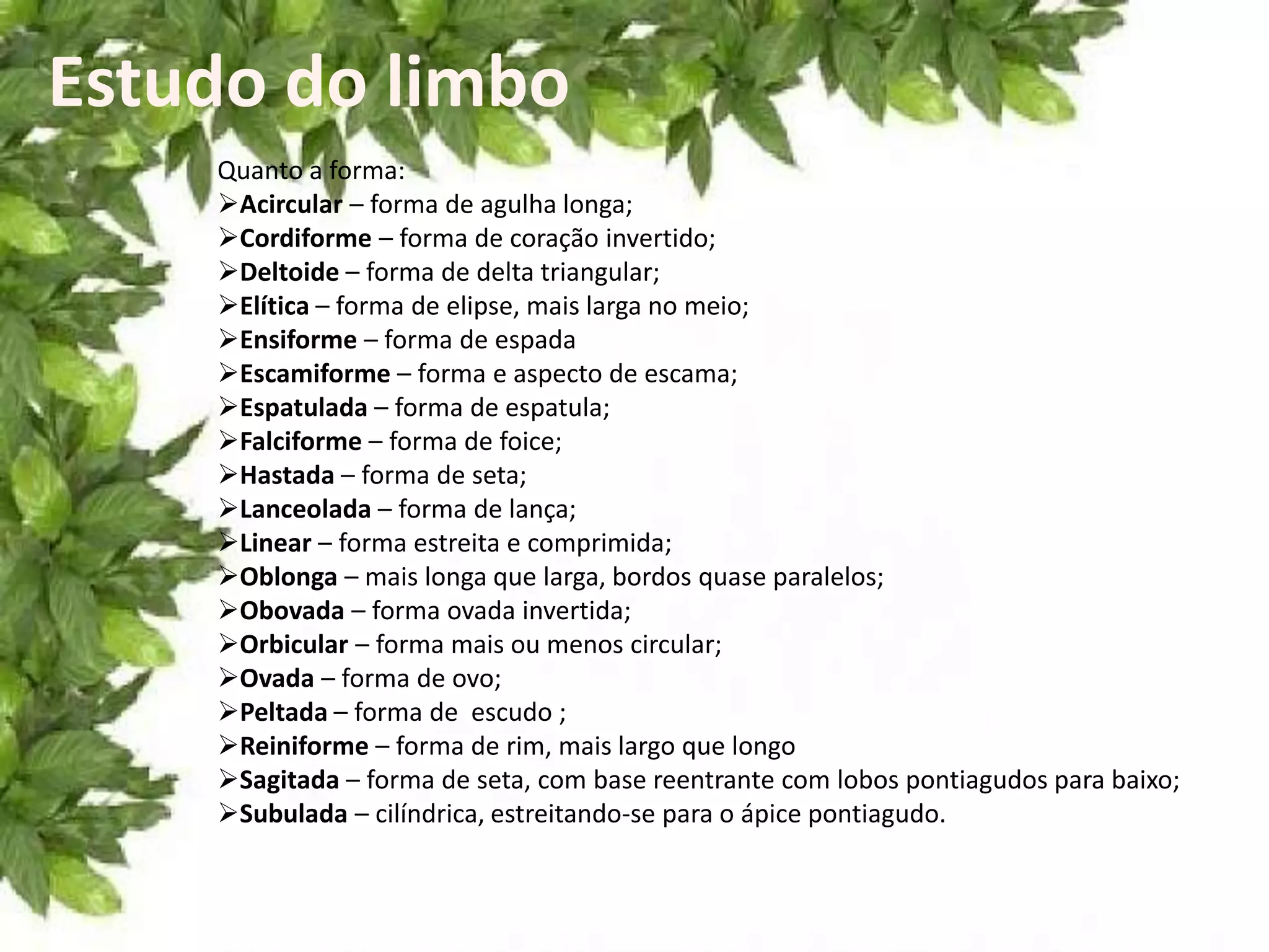 Morfologia da folha | PPTX