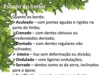 Morfologia da folha | PPTX