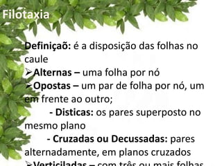 Morfologia da folha | PPTX