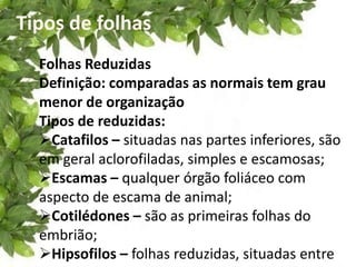 Morfologia da folha | PPTX