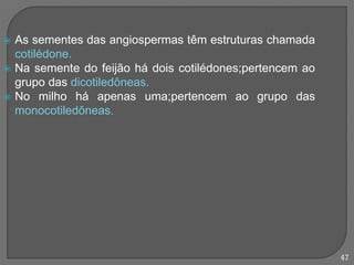 Morfologia das angiospermas 2ª£ | PDF