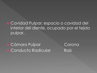 Morfologia de cavidades_pulpares(2) | PDF