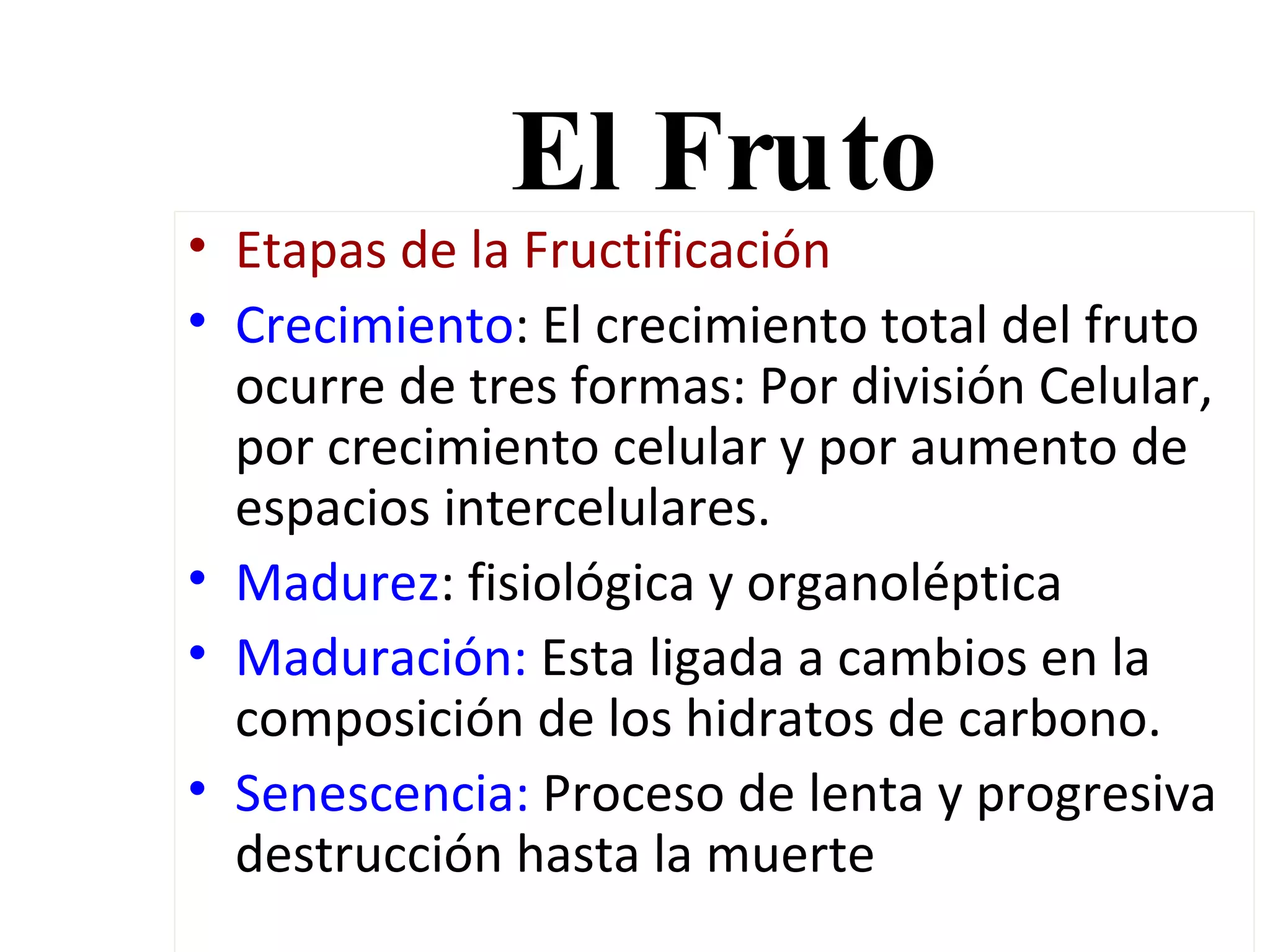 Morfologia De Fruto | PPT