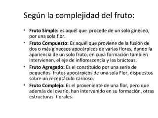 Morfologia De Fruto | PPT