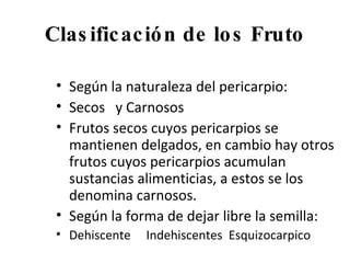 Morfologia De Fruto | PPT