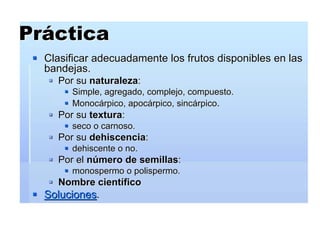 morfologia de frutos: organigrafia, principales caracteristicas | PPTX