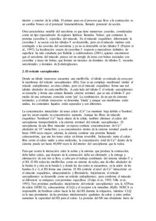 Morfologia del musculo esqueletico | DOCX