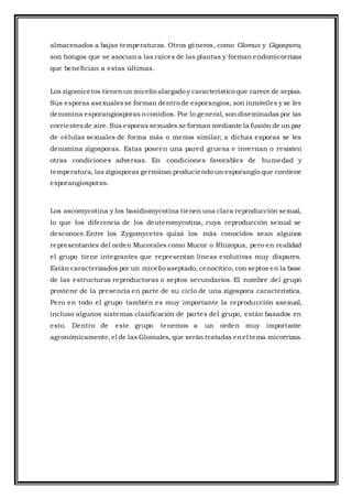 Morfologia del reino fungi | DOCX