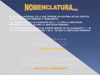 MORFOLOGIA DENTAL- DIENTES SUPERIORES E INFERIORES | PPTX