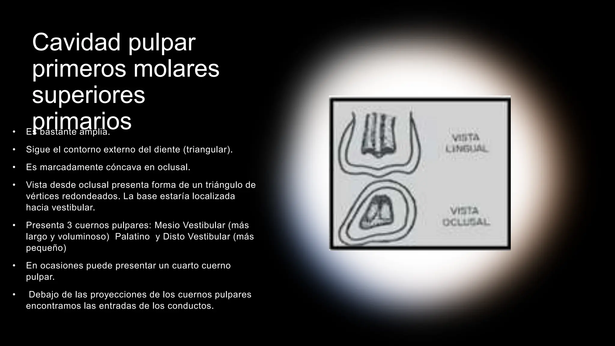 Morfología Dental de Temporales, presentación | PPTX