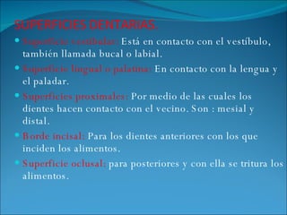 Morfologia Dental Generalidades | PPT