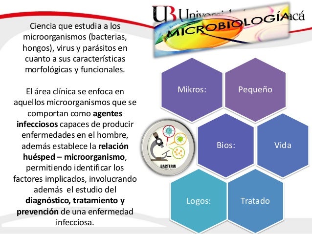 Estructura Interna Del Diodo Zener 2021 Idea E Inspiracin Estructura