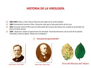 Morfologia Estructura Viral | PDF
