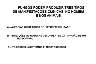 Morfologia e Taxonomia dos Fungos - Slides.pdf