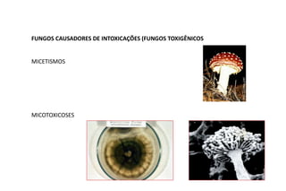Morfologia e Taxonomia dos Fungos - Slides.pdf