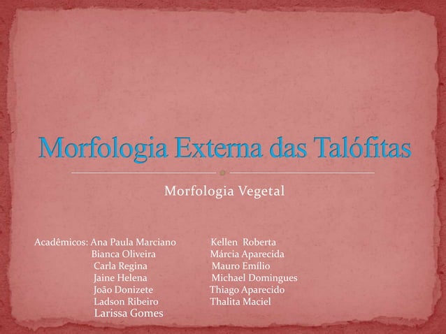 Morfologia externa das talófitas | PPT