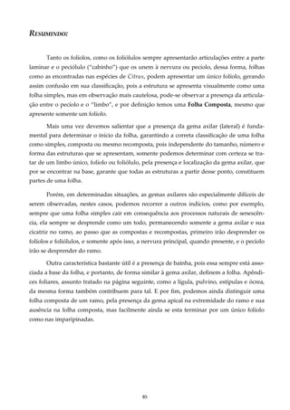 morfologia das folhas: tudo sobre classificação das folhas | PDF