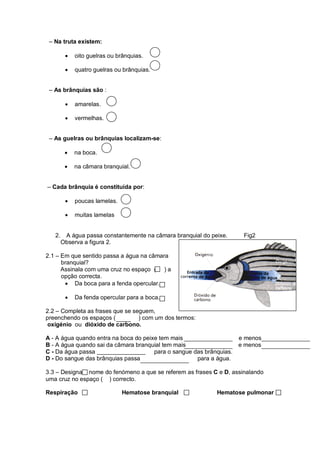 Morfologia interna do peixe | PDF