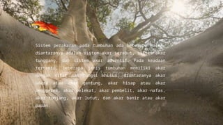 Morfologi Akar JENIS-JENIS AKAR TUMBUHAN.pptx